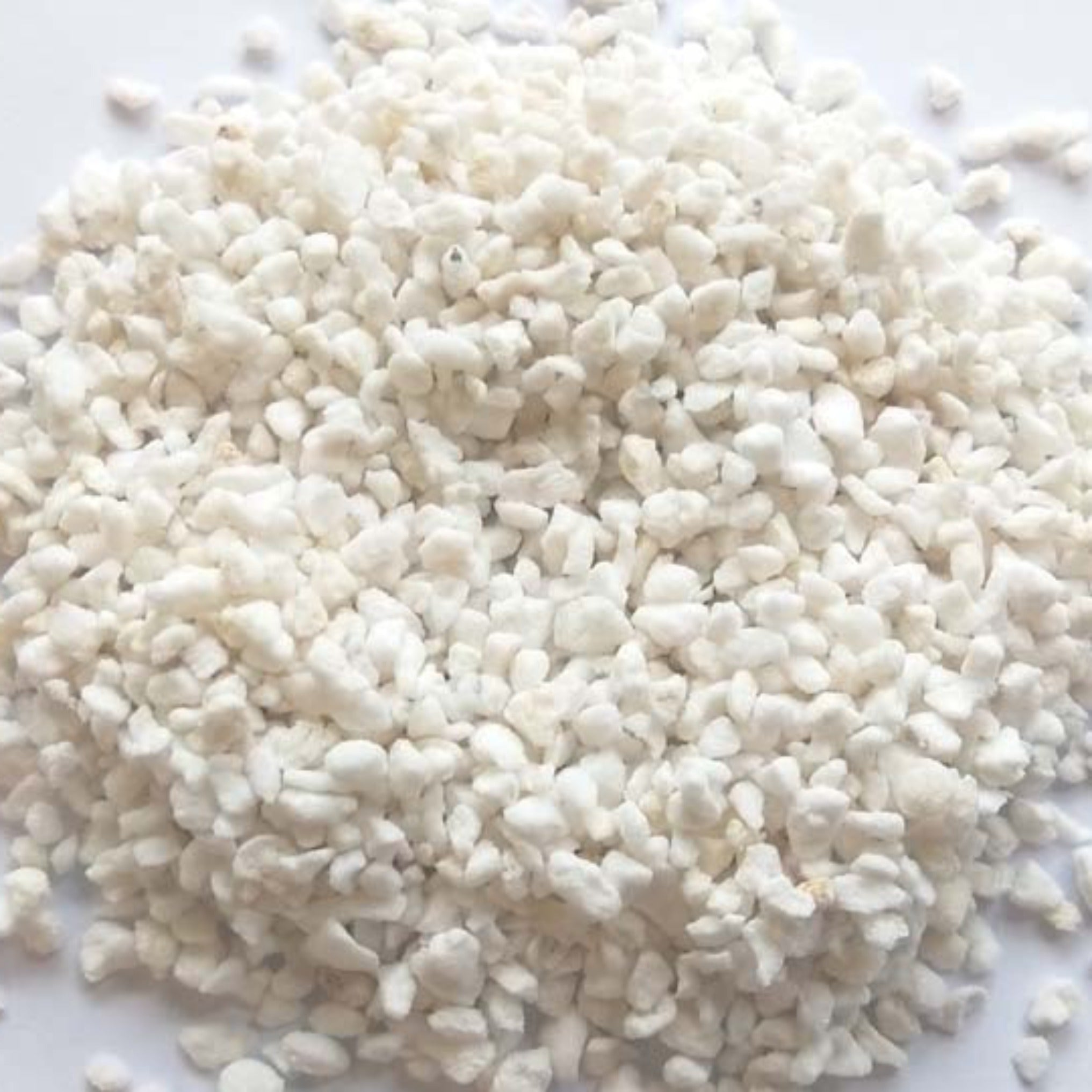 Perlite – Coastal Succulents, Cacti & Alpines